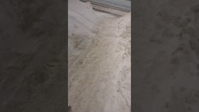 №1545 ул. Белинского. 20 февраля 2026 г., 19:59:12 VID_20260220_195742415