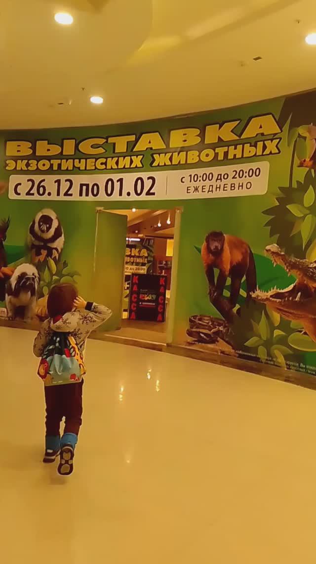 Зооландия, выставка экзотических животных 22-29.01.2026