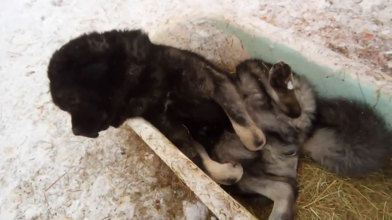 Зимние ванны рекомендуют даже врачи