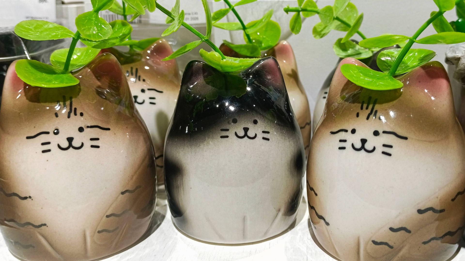 🌿MODI🌸Прогулка По Магазину🌿 февраль 2026