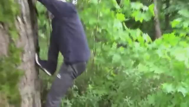 Нашёл ТАЙНИК в дупле дерева