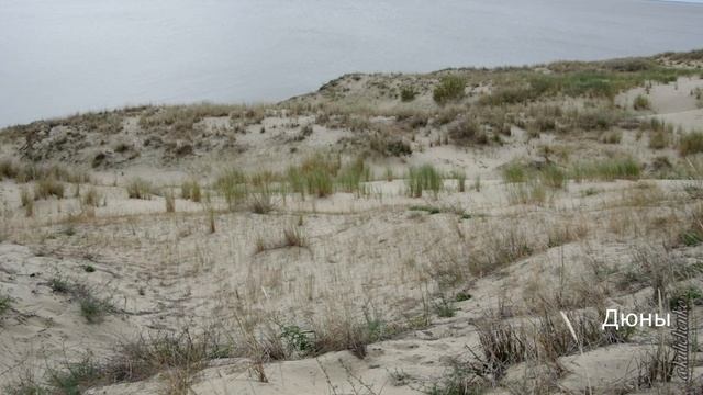 ПРОГУЛКИ ПО ПАРКУ И НЕ ТОЛЬКО день второй