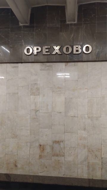 Ст. метро Орехово, Москва - интерьер, пассажиры, прибытие-отправление поездов Фрагмент 4