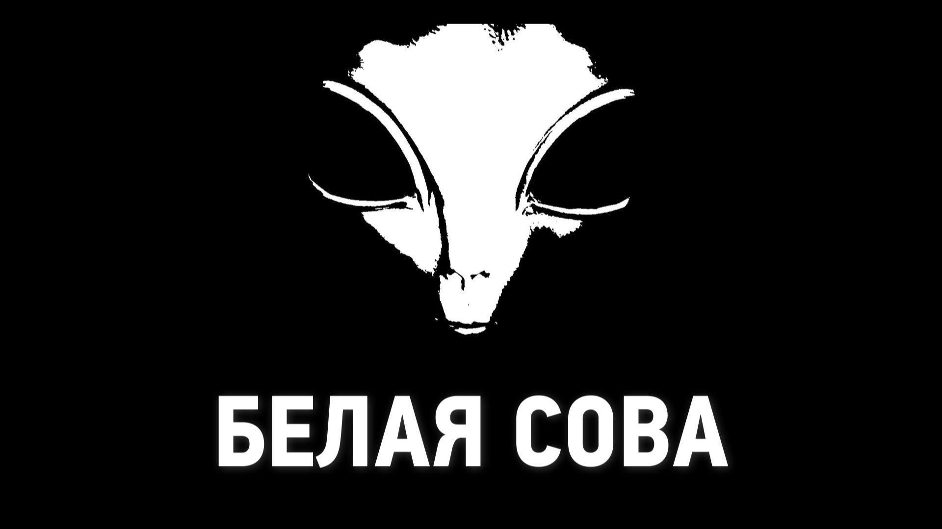 Атмосферный черно-белый инди-хоррор The White Owl. Свежий взгляд на инопланетное вторжение.