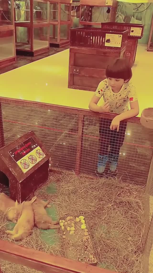 Зооландия, выставка экзотических животных 22-29.01.2026