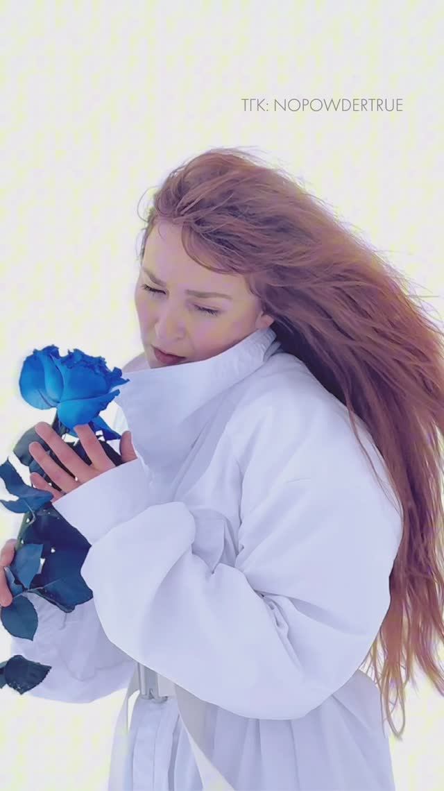 «Космическая роза» расцвела  несмотря на холод  на всех площадках.