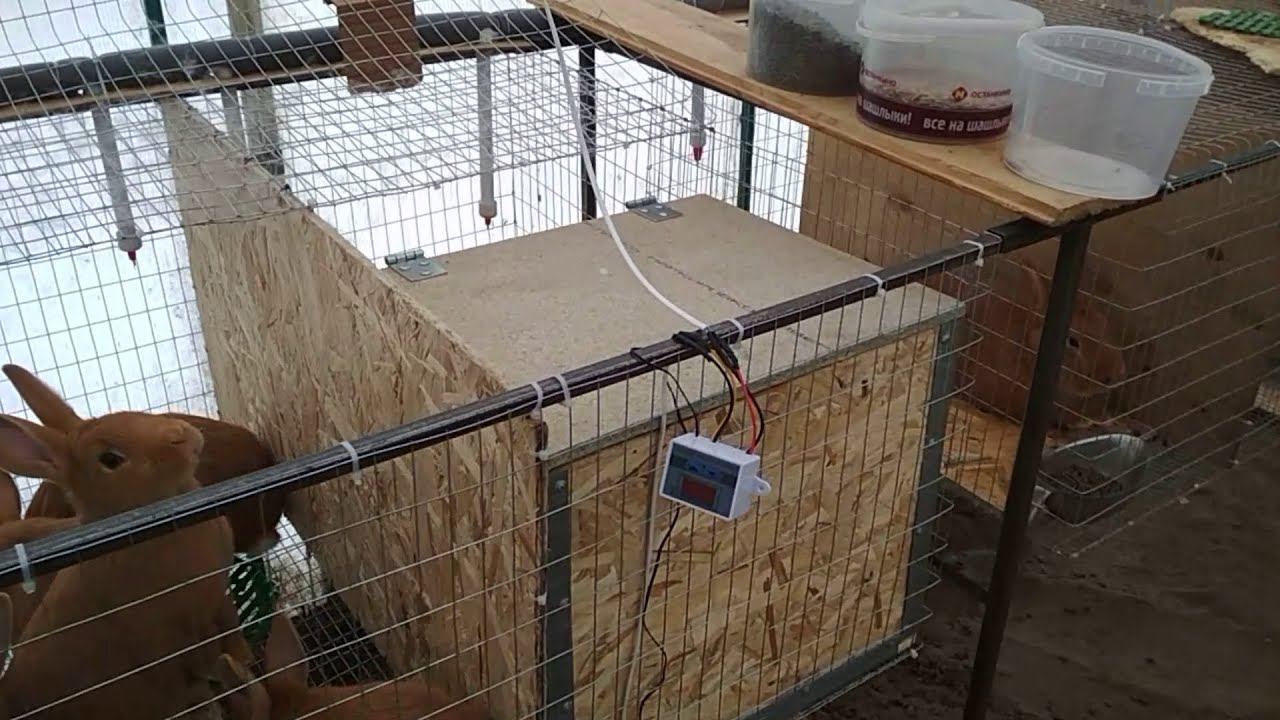 Маточник для кроликов с подогревом