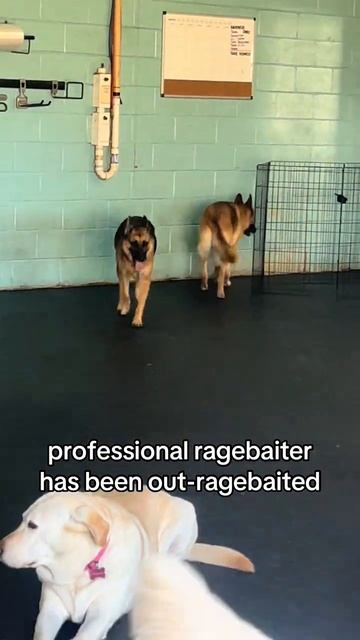 Максимальный игнор