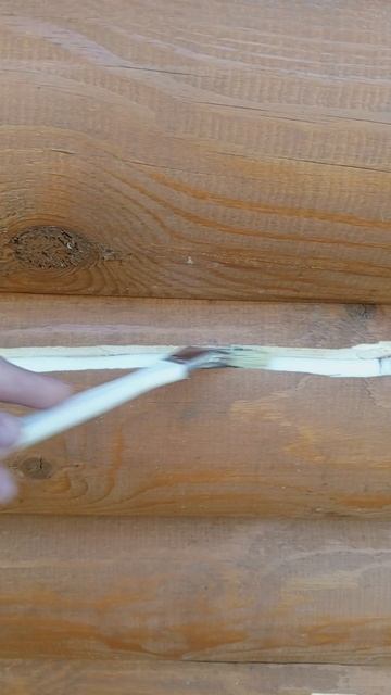 Трещины в бревне