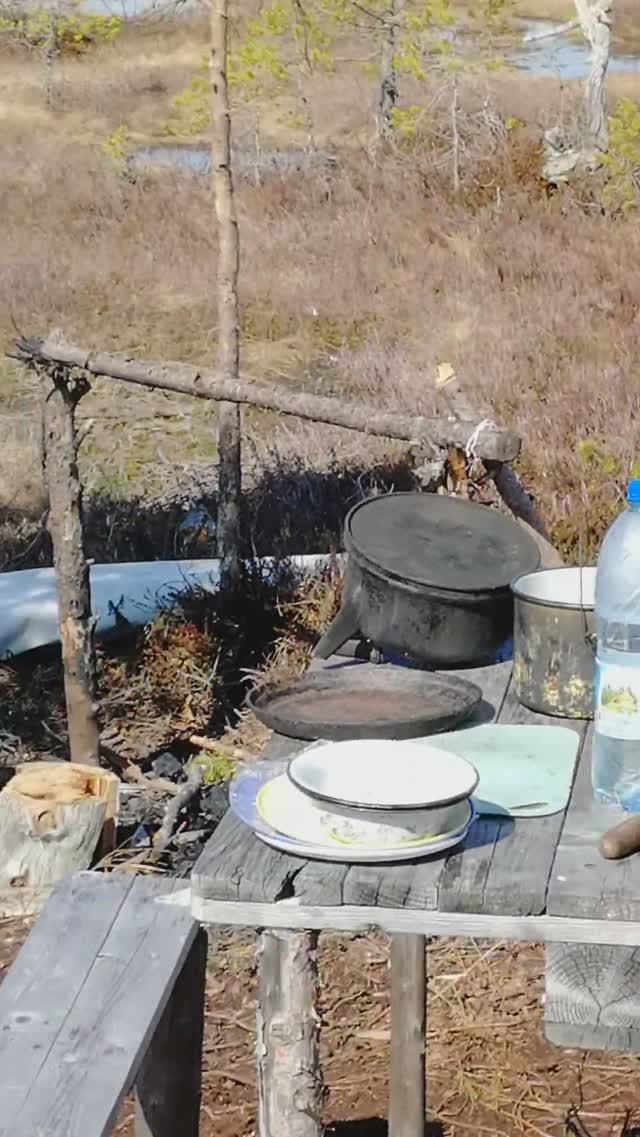 Казарки кружат над охотничьим лагерем.