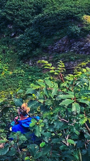 Настоящая роскошь - это время // Камчатка природа горы туризм mountains nature hike путешествие