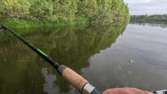 🔺️🎣ОКУНЬ🎣🔺️fishing#туризм#природа#ловля#рыбалка#щука#ловлящуки#ночевка#Чулым#река#спиннинг