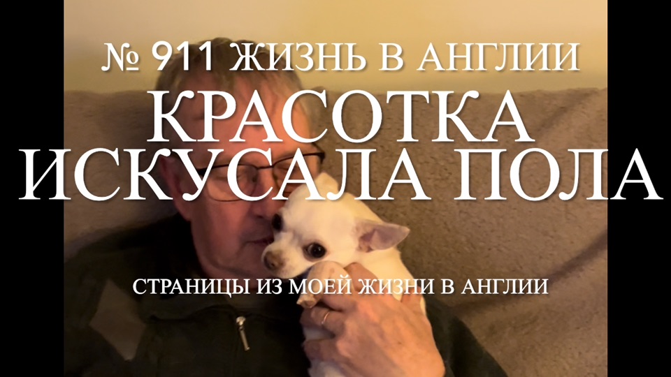 Красотка искусала Пола. № 911 Жизнь в Англии