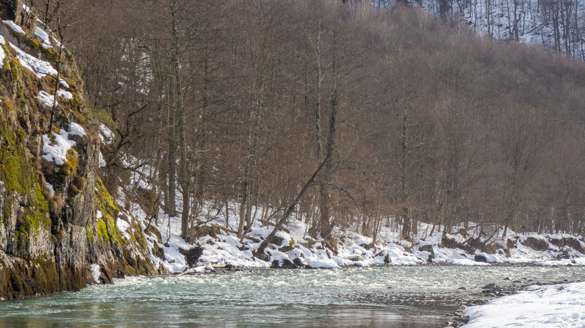 Никитино в январе