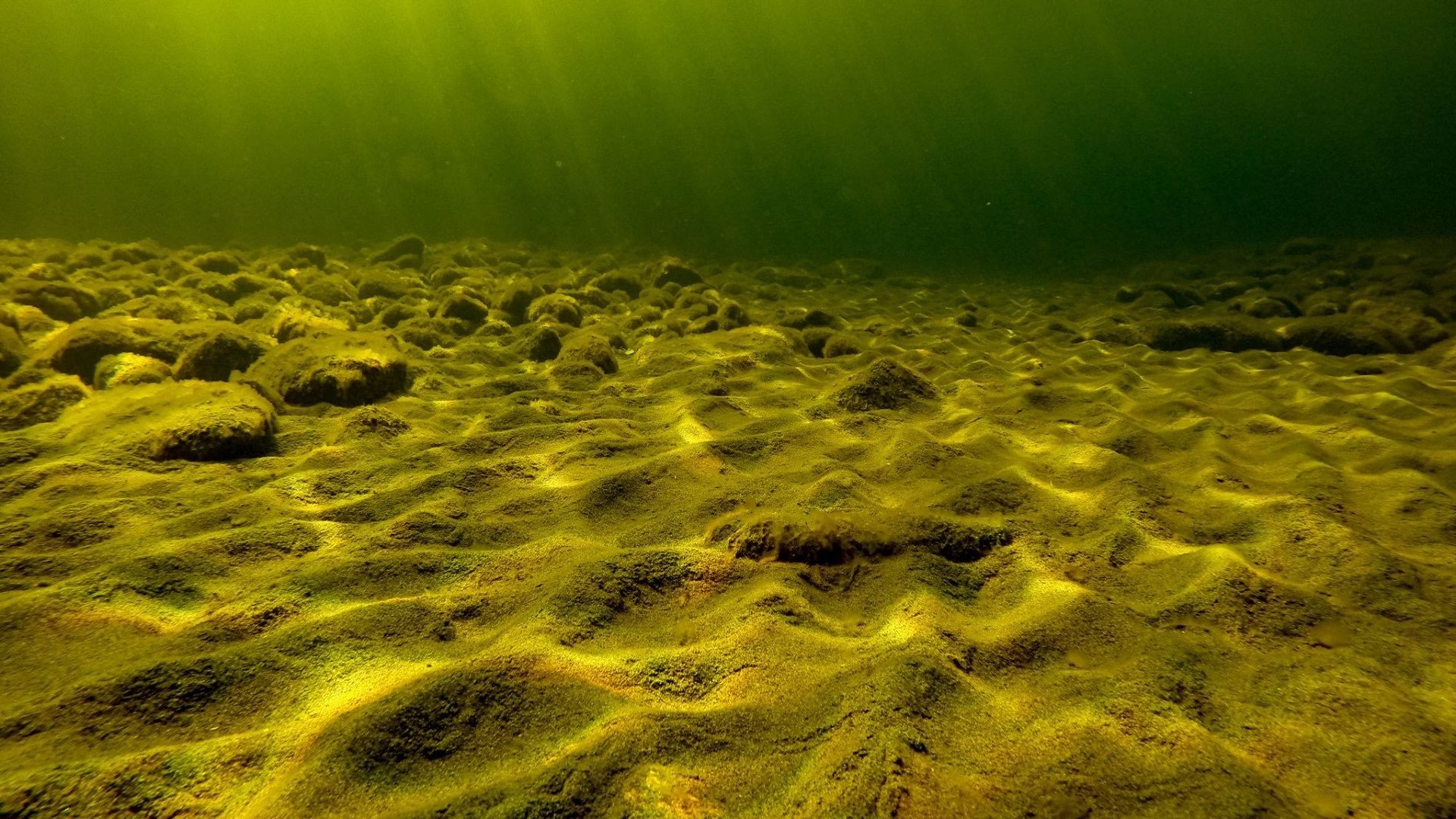 Notize - Be Sure [The Mac Life]