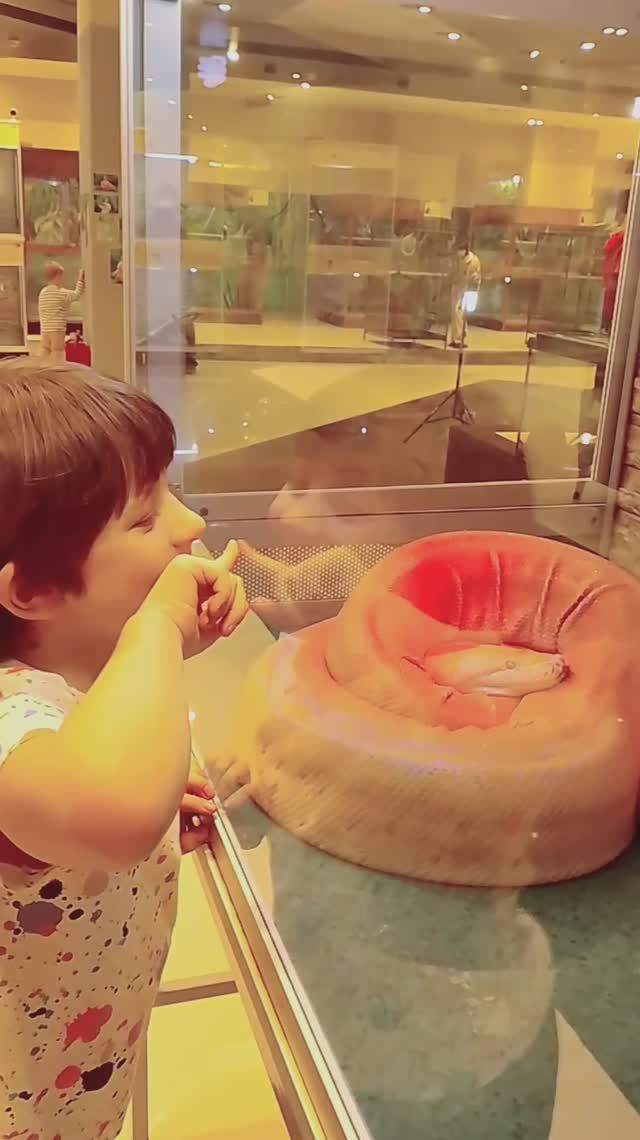 Зооландия, выставка экзотических животных 22-29.01.2026