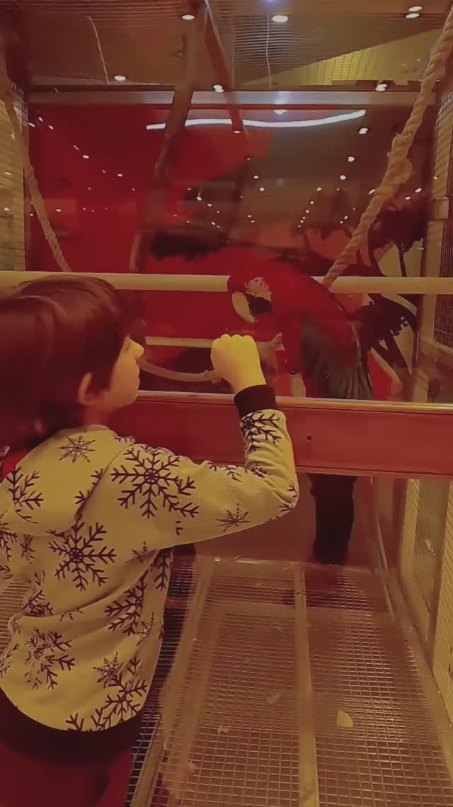 Зооландия, выставка экзотических животных 22-29.01.2026