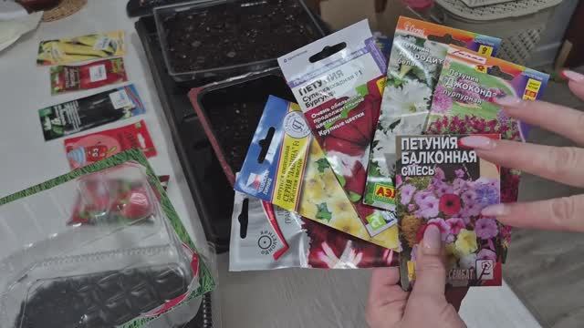 МОИ РОЗЫ, ЕСТЬ ПОТЕРИ И ПОПОЛНЕНИЕ. ПОСЕЯЛА ПЕТУНИЮ.  КВАРТИРНЫЕ ОБНОВОЧКИ.   .