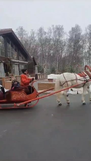 Катание на санях