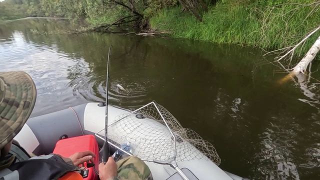 🔺️🎣ПОЙДЕТ🎣🔺️fishing#туризм#природа#ловля#рыбалка#щука#ловлящуки#ночевка#Чулым#река#спиннинг