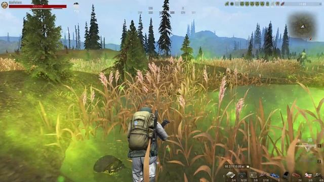 Тунгусский самолет