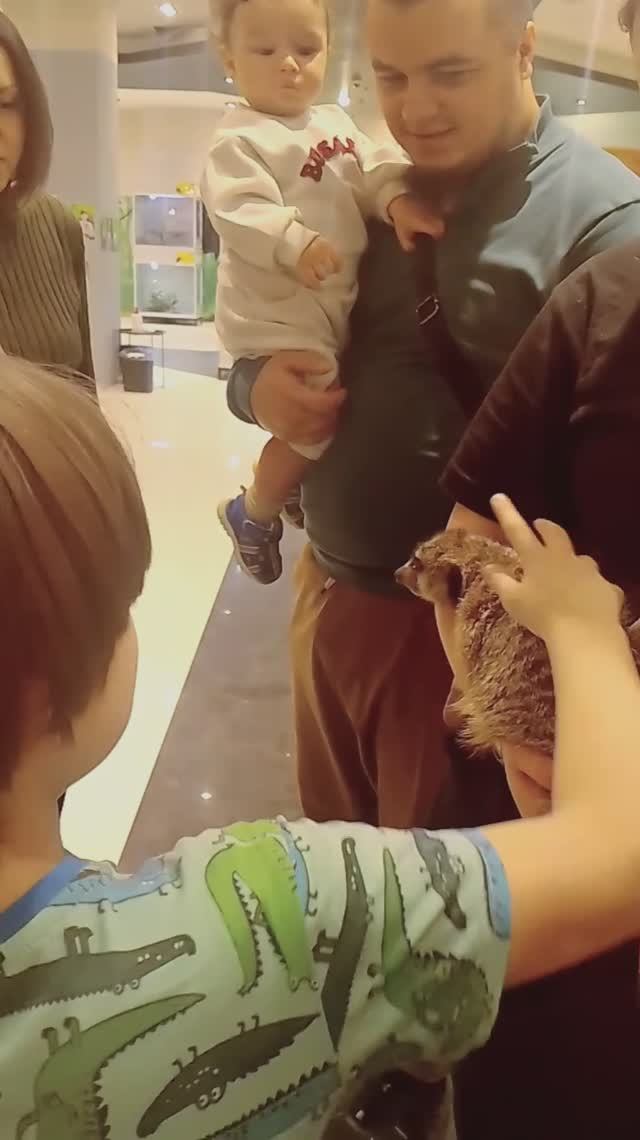 Зооландия, выставка экзотических животных 22-29.01.2026