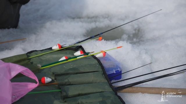 «Народная рыбалка» собрала приморцев на льду бухты Бражникова