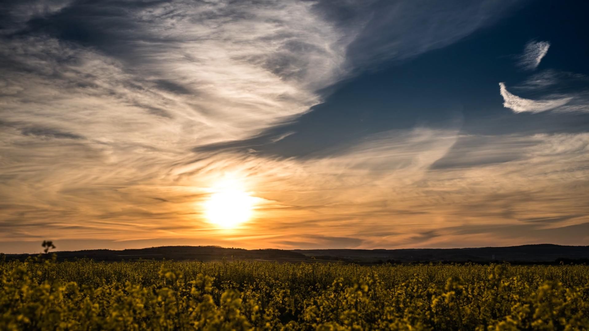 Заря красна над полем 🎧 МУЗЫКА 🎵. Текст 🎶 мой, исполнение сгенерировано нейросетью .