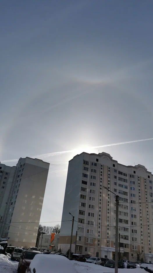 Солнечное гало, 23 февраля 2026 #гало #солнечноегало #февраль2026 #зима #скоровесна #конецзиме #снег