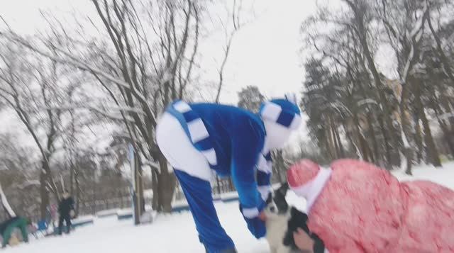 Корги Рождество