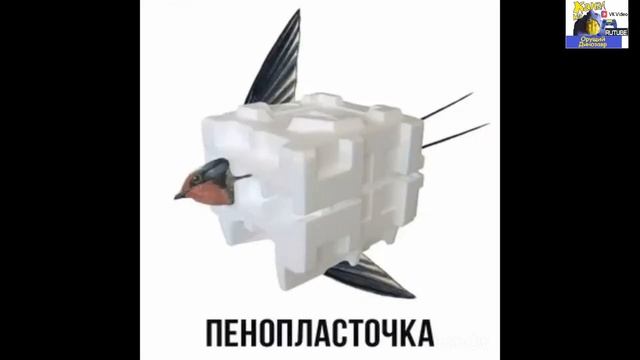 Пенопласточка о чём этот мем