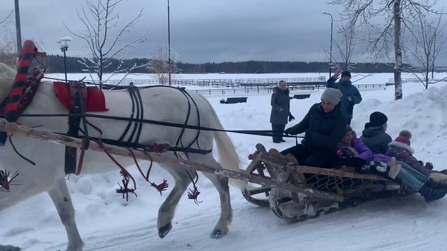 Катание на санях
