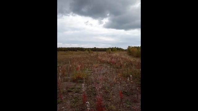 Вот такое место This is the place