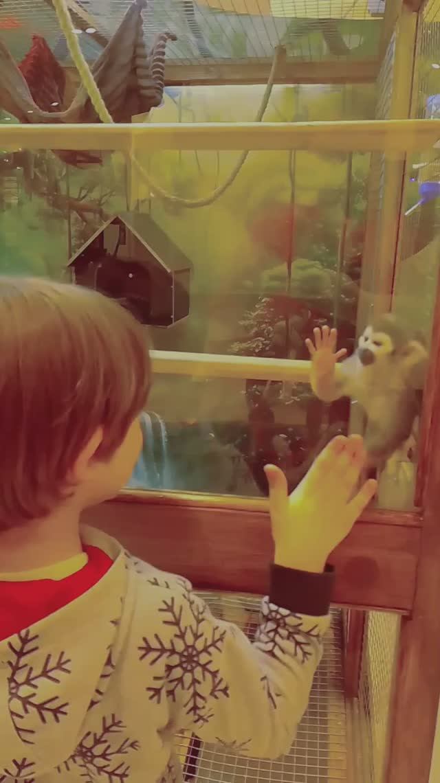 Зооландия, выставка экзотических животных 22-29.01.2026