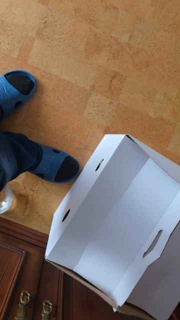 Милка ловит добычу из домика