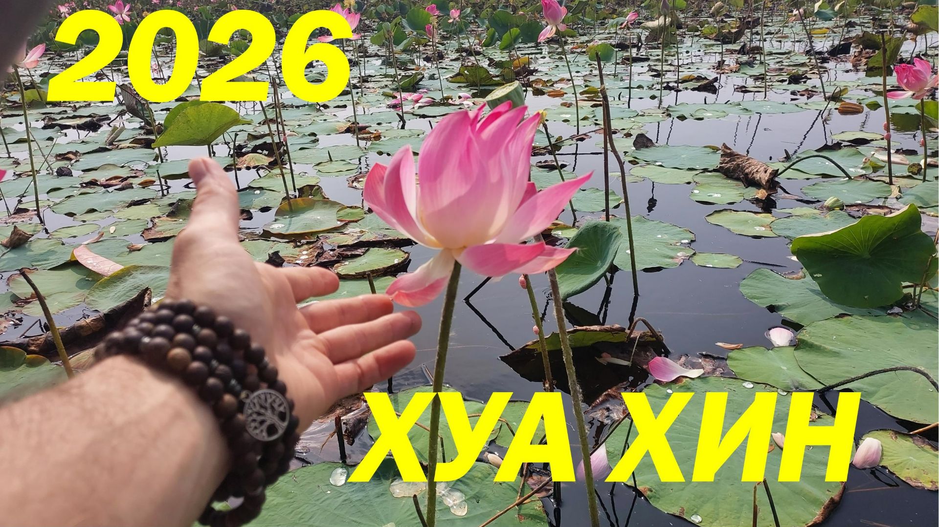 ХуаХин 2026. Тайланд.