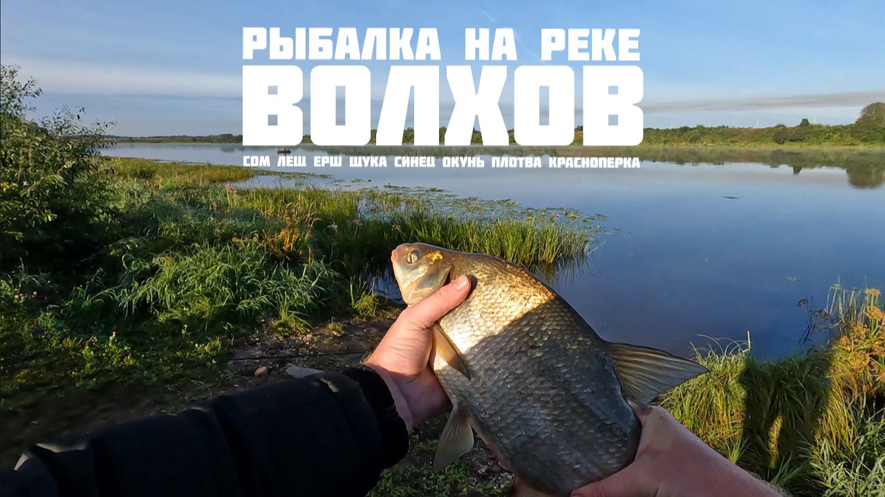 Рыбалка на реке Волхов