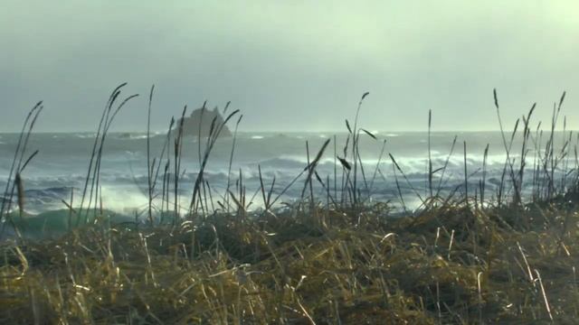 Шторм в Тихом океане + 963 Гц (частота Бога) Ноябрь на Халактырском пляже | 4K Hi-Res | Звук для сна