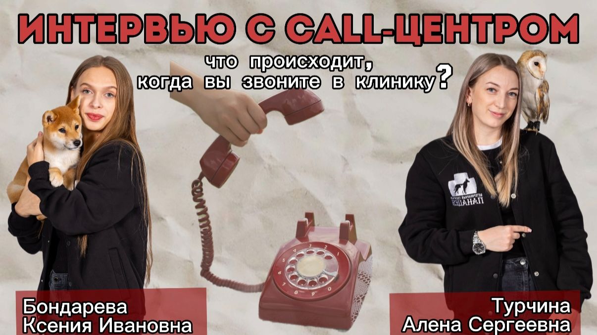 Первый шаг к помощи питомцу: что происходит, когда вы звоните в клинику