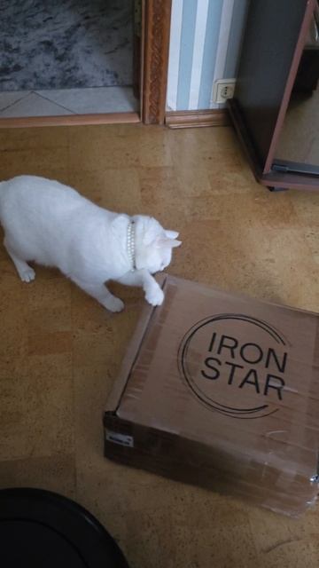 Милка и закрытая каропка