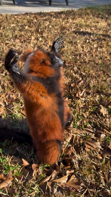 Когда ловишь первые лучи солнца 🌅