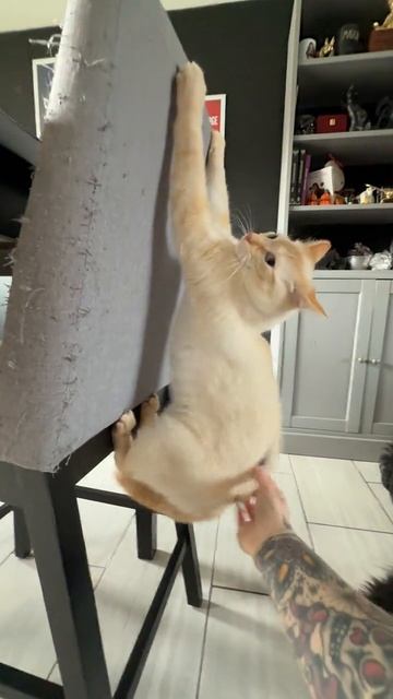 Что за эффект