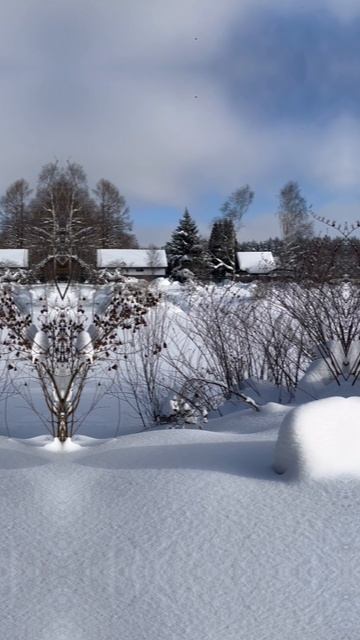 После снегопада особенно приятно…
