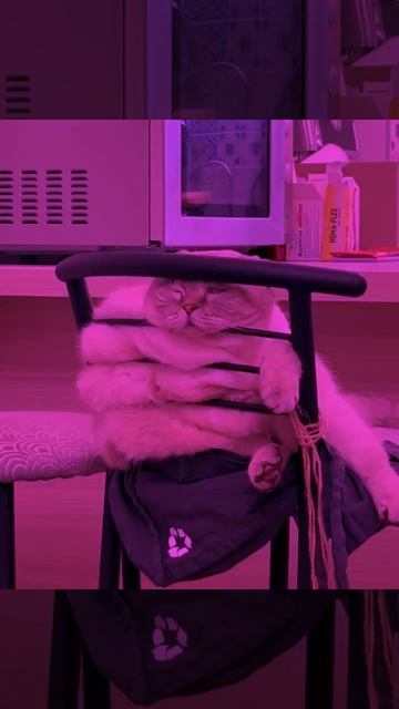 Кто-то слил в инет моё безудержное веселье