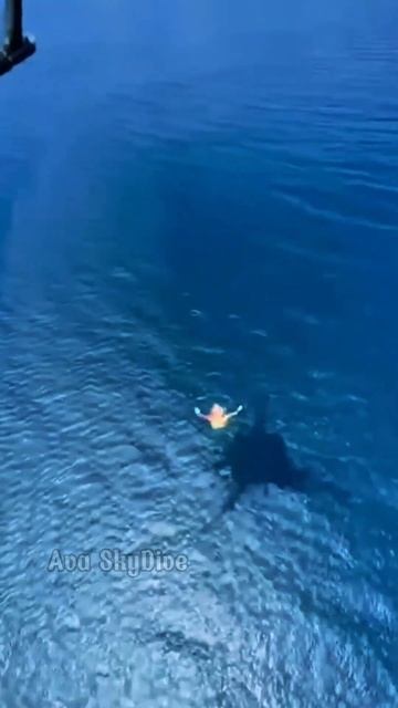 С высоты в море