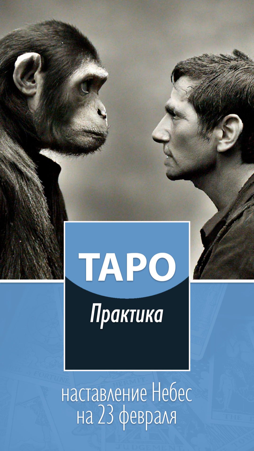 Таро. Практика. Наставление Небес на 23 февраля
