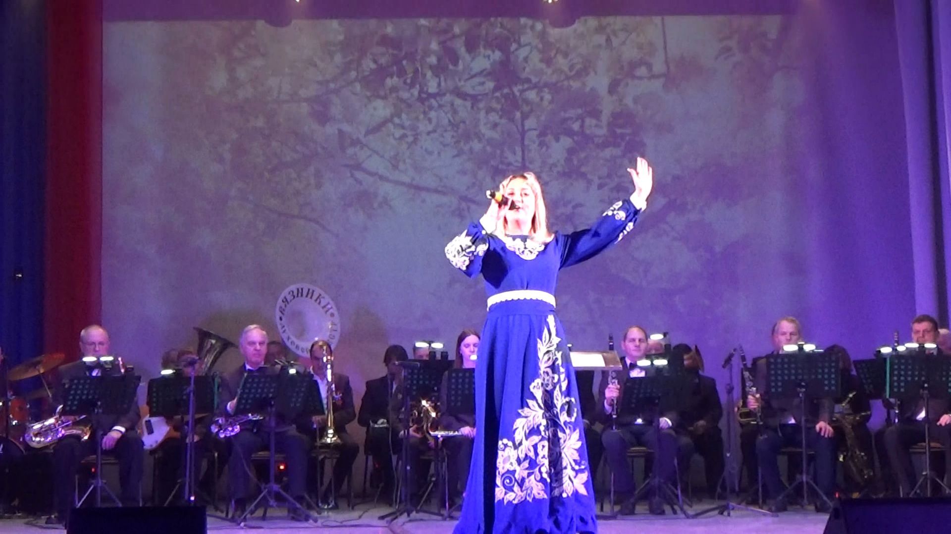 Концерт посвященный Дню защитника Отечества в ДК.Спутник города Вязники