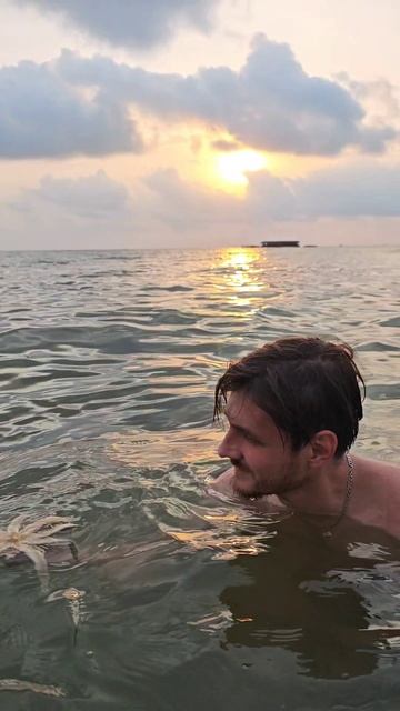 Морская звезда на 23 февраля 26г.