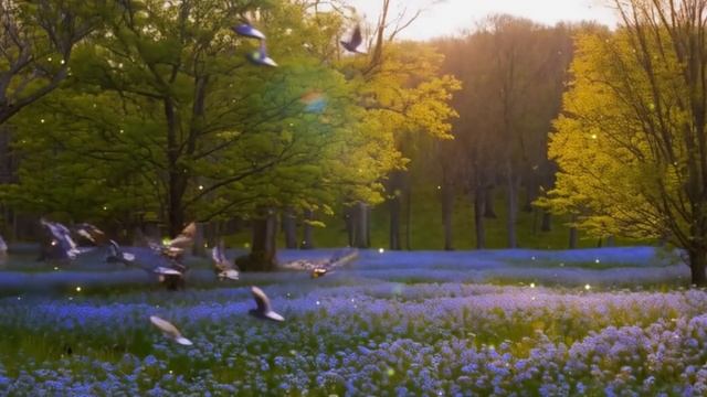 Весна // Футаж, фон для заголовка