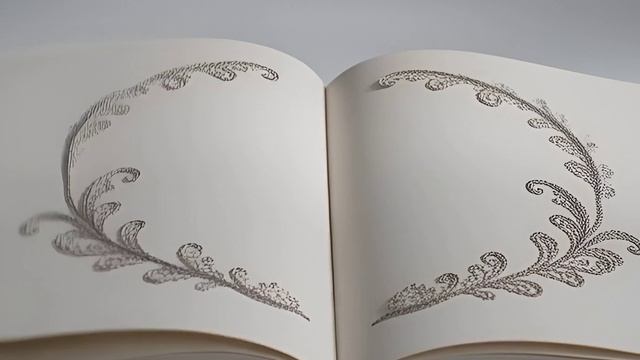 grok-video-358dbb6c-ee81-406b-801b-b50a418107d5 (3)